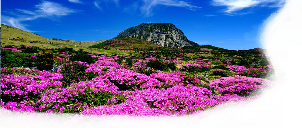 Jeju Island Tour in Korea: Jeju Volcanic Island and Lava Tubes